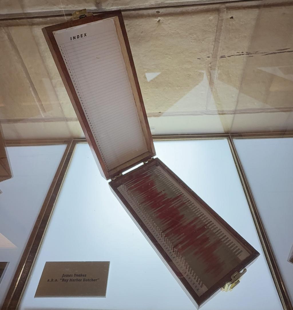 익스트림무비 샌디에고 코믹콘 풍경들 모음 프레데터 배드랜즈 프레데터 스태츄 마스터 오브더 유니버스 소드 등 추가중