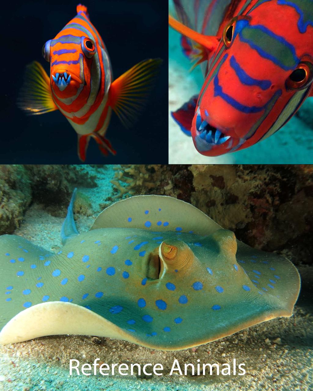 익스트림무비 - ‘아바타 2’ 제임스 카메론의 바다생물 스케치