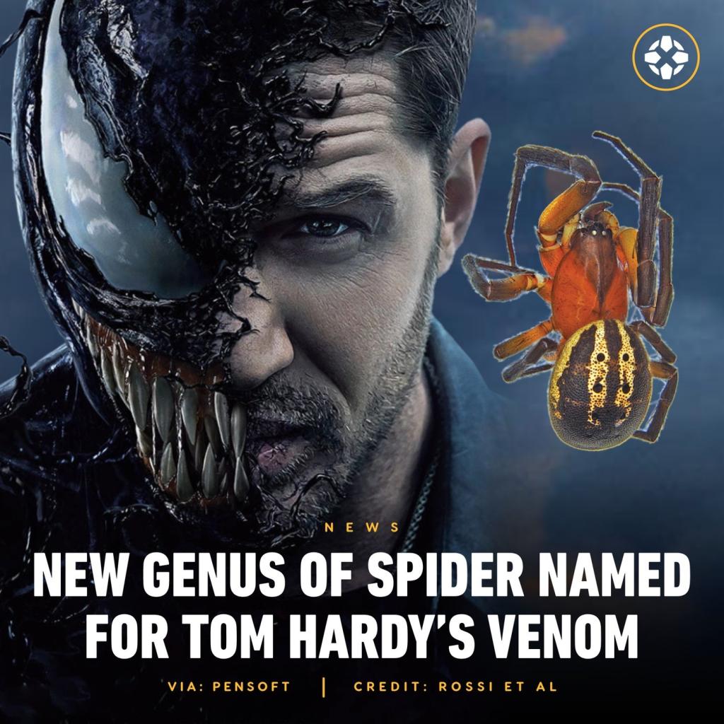 익스트림무비 - 새로운 거미의 속과 종의 이름 - 마블 베놈, 탐 하디 이름 따서 지어