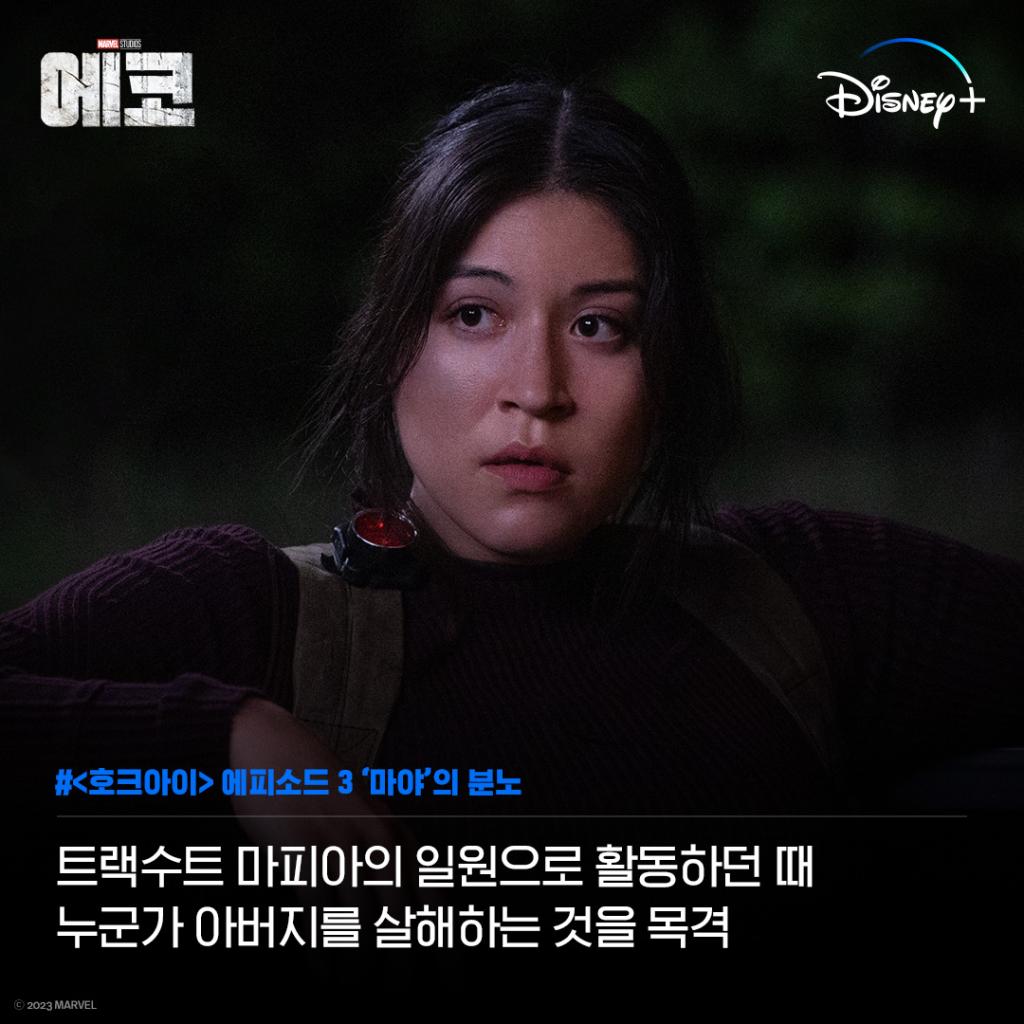 익스트림무비 - 보기전 필수! 속 강렬했던 에코