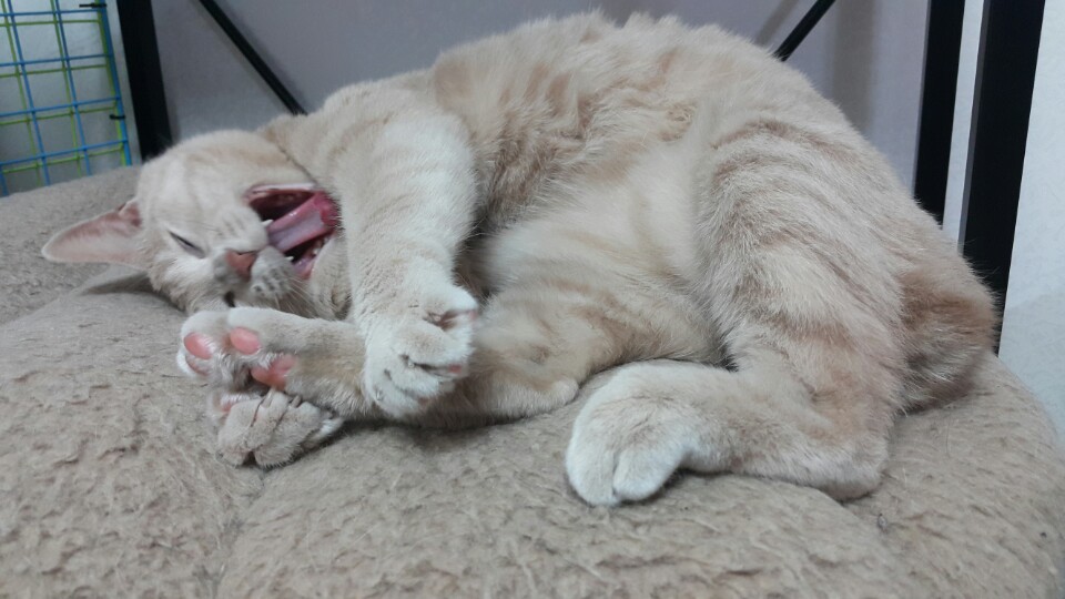 익스트림무비 - 깨 도촬