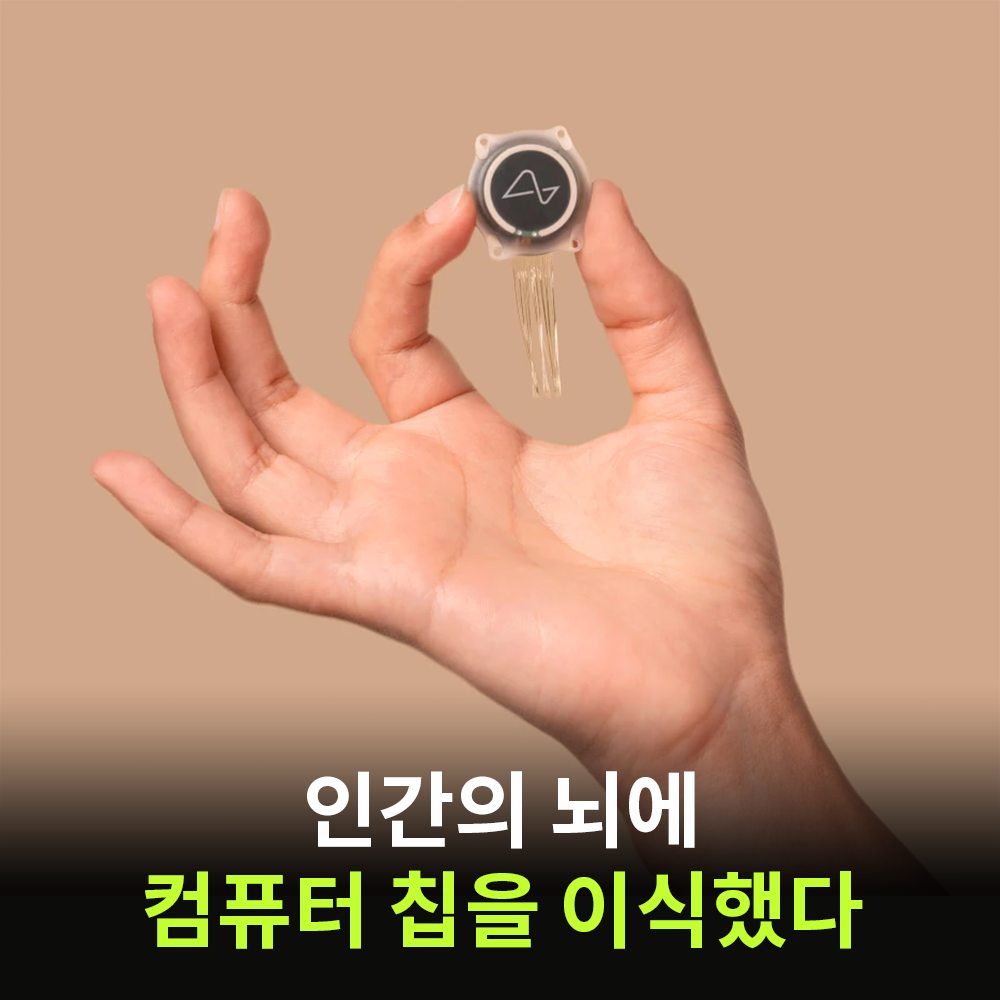 익스트림무비 오늘 뉴스정보유머 인간의 뇌에 컴퓨터칩 이식 일론 머스크 뉴럴링크 당뇨가 생기는 과정을 알기