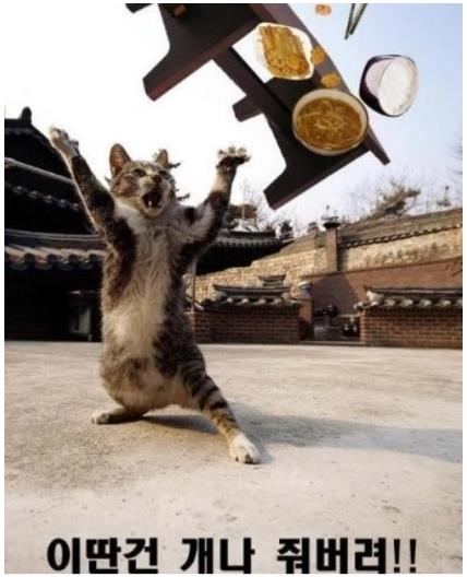 익스트림무비 - 재미로 보는 인간이 느끼는 쾌락 순위