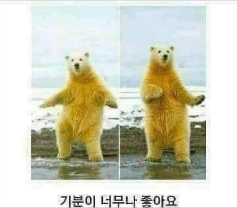 익스트림무비 지금 제 기분은 