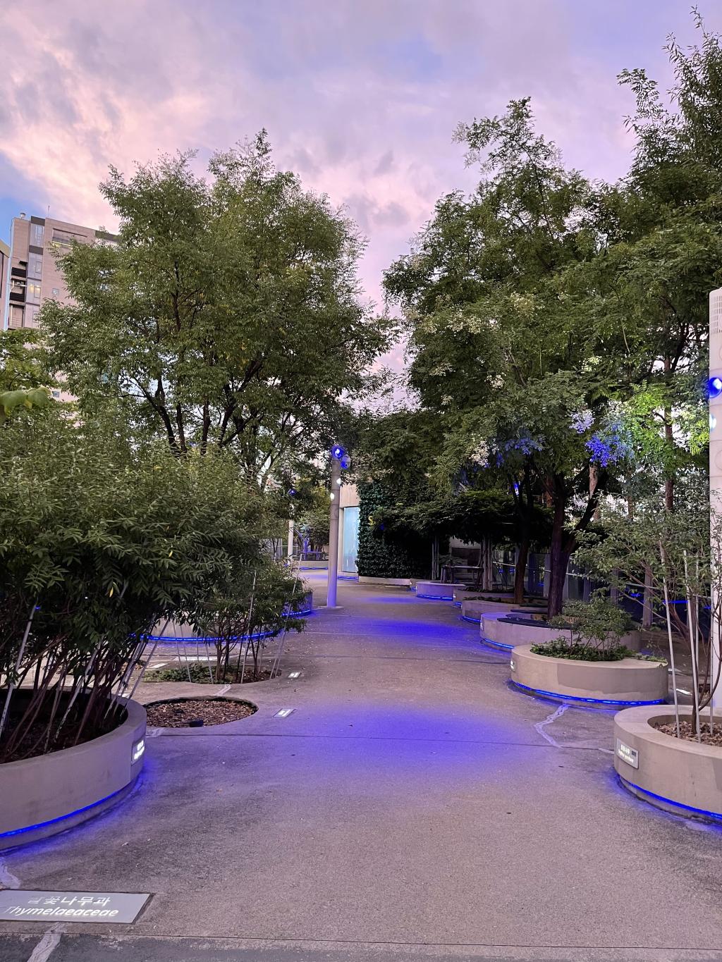 익스트림무비 - 서울로 7017 공원 풍경